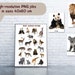 WILD Animals Poster With Real Pictures, Animal Portrait Print ...