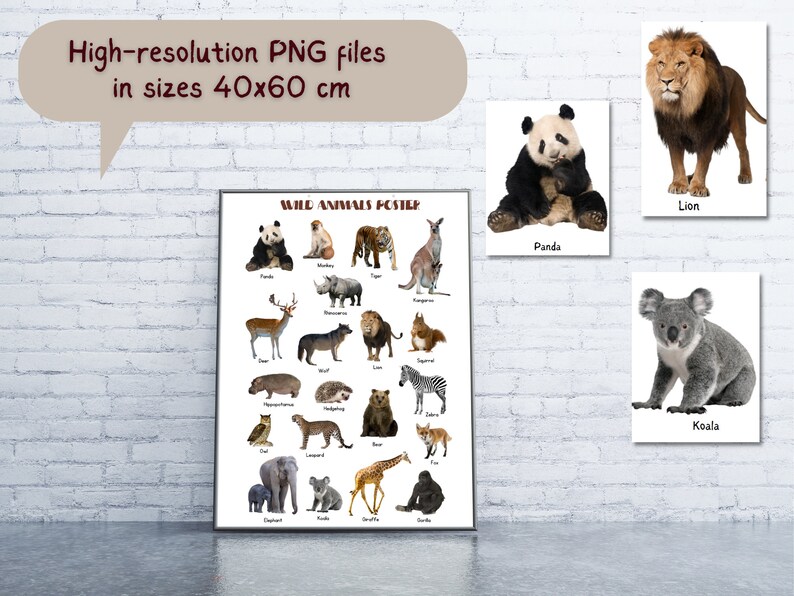 WILD Animals Poster With Real Pictures, Animal Portrait Print ...