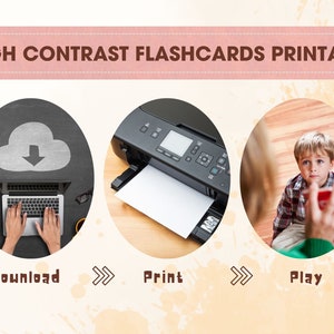 Sea Animals Flashcards, Ocean Animals, Montessori Flashcards Printable ...