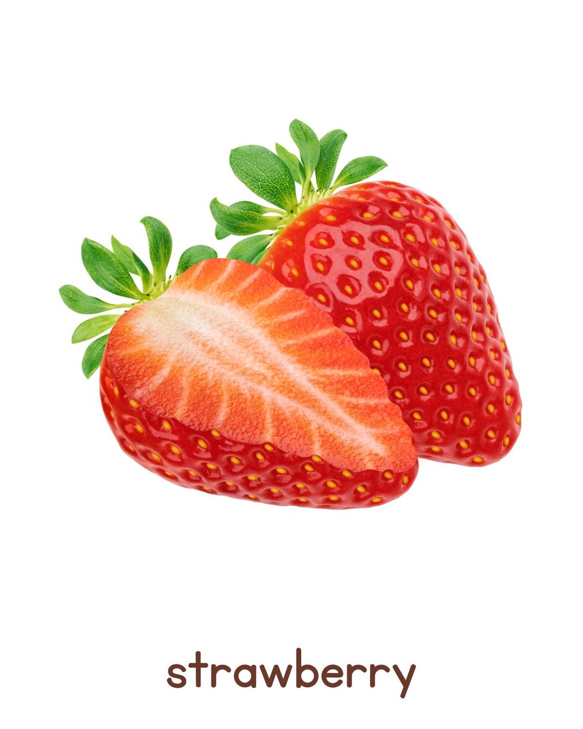 Fruits Flashcard real Picture, Montessori Printable Flashcard, Fruits ...