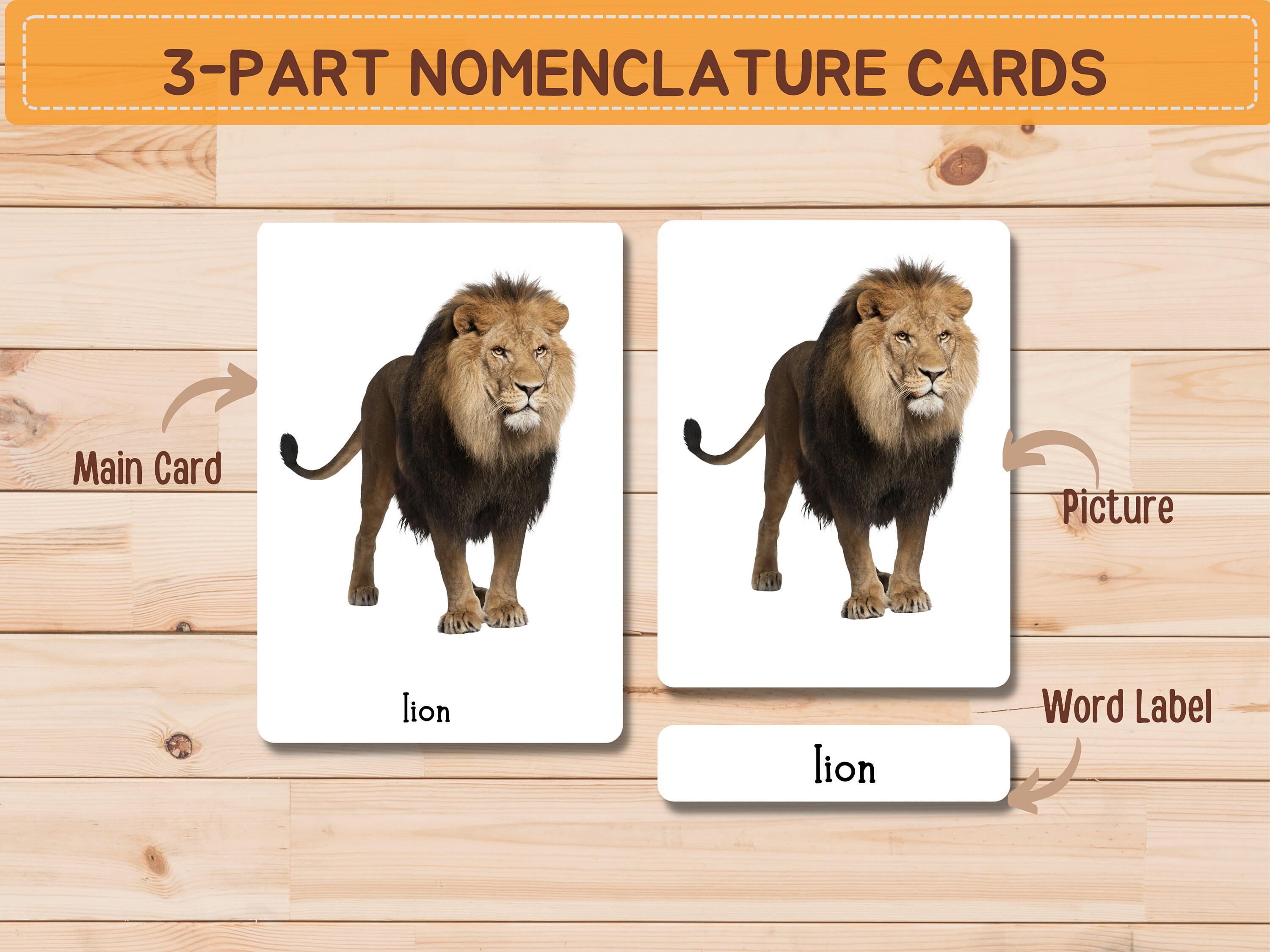 ANIMALS Real Pictures, Montessori Flashcards Printable, Doman ...