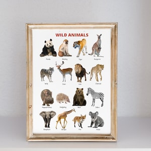 WILD Animals Poster With Real Pictures, Animal Portrait Print ...