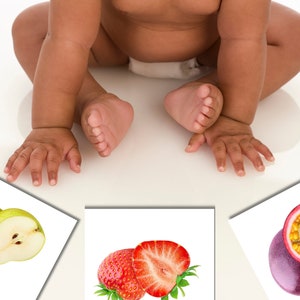 Fruits Real Picture Flashcards, Preschool Fruit Card, Fruit Flashcards ...