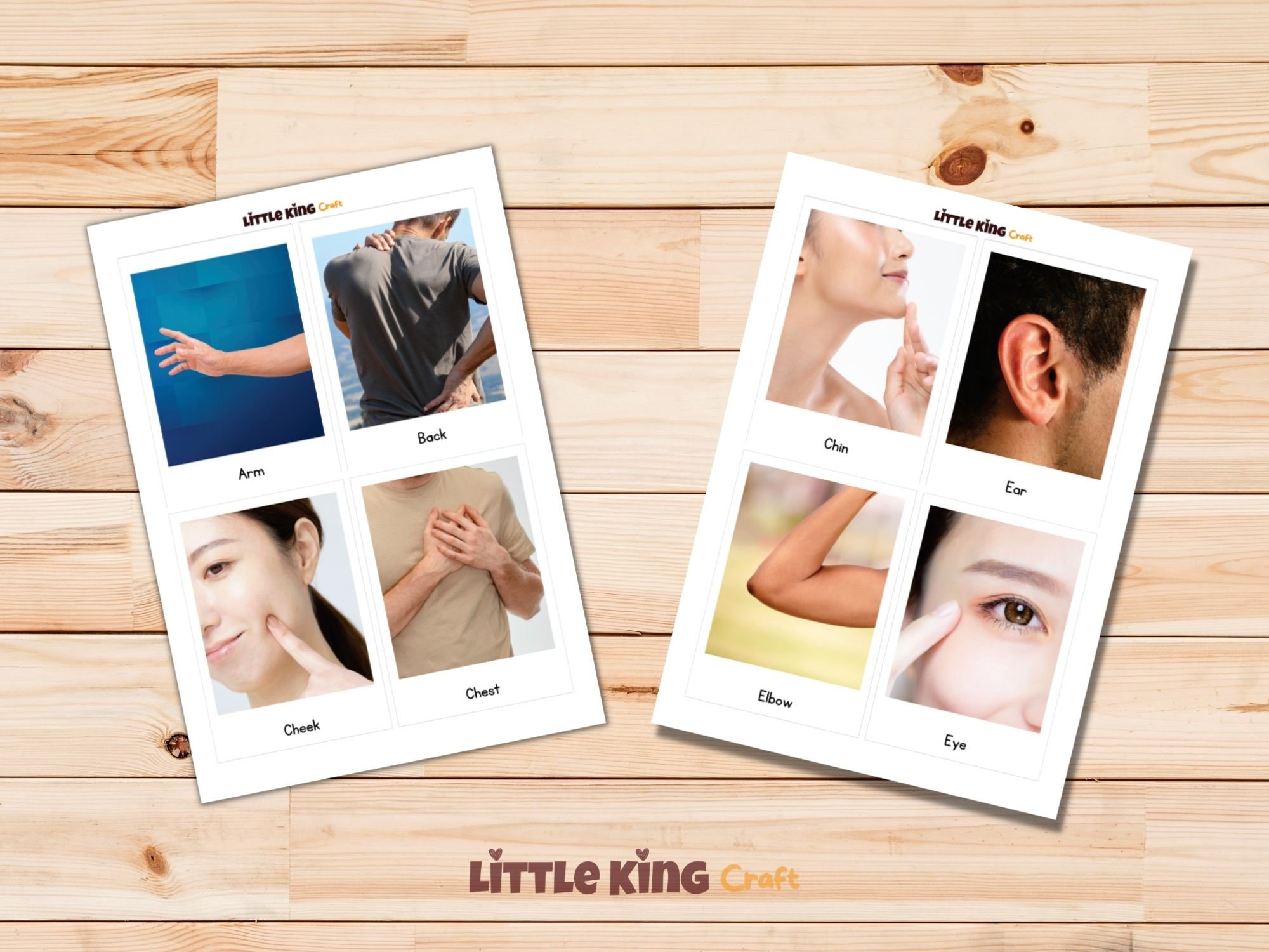 Body Parts With Real Picture, Montessori Flashcards Printable, Toddlers ...