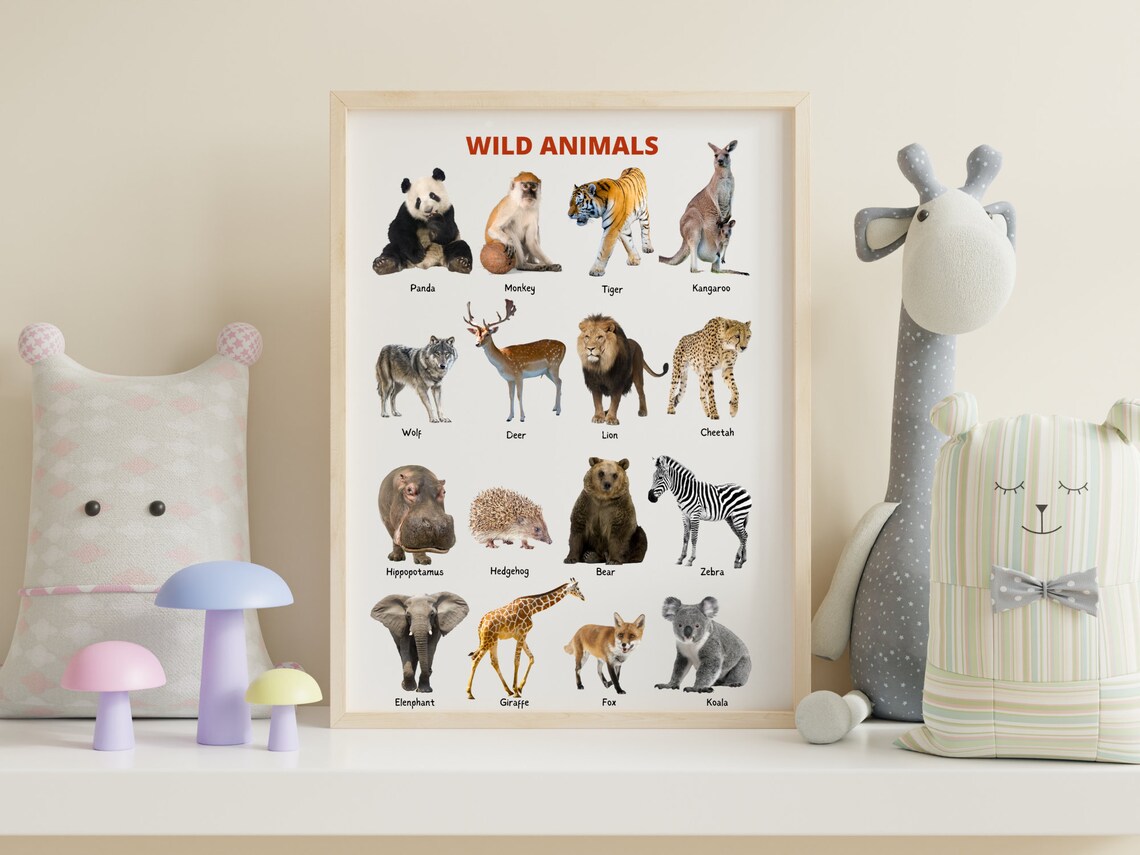 WILD Animals Poster With Real Pictures Animal Portrait Print - Etsy