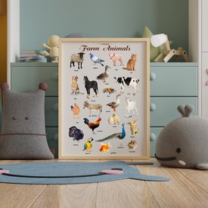 FARM ANIMALS POSTER (real Pictures), Montessori Poster, Poster ...
