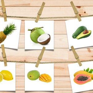 Fruits Real Picture Flashcards, Preschool Fruit Card, Fruit Flashcards ...