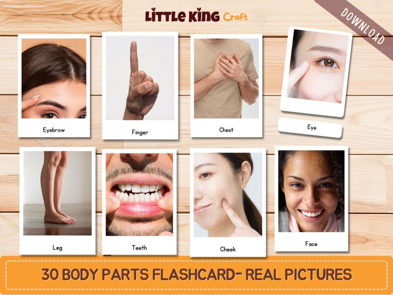 Body Parts With Real Picture, Montessori Flashcards Printable, Toddlers ...