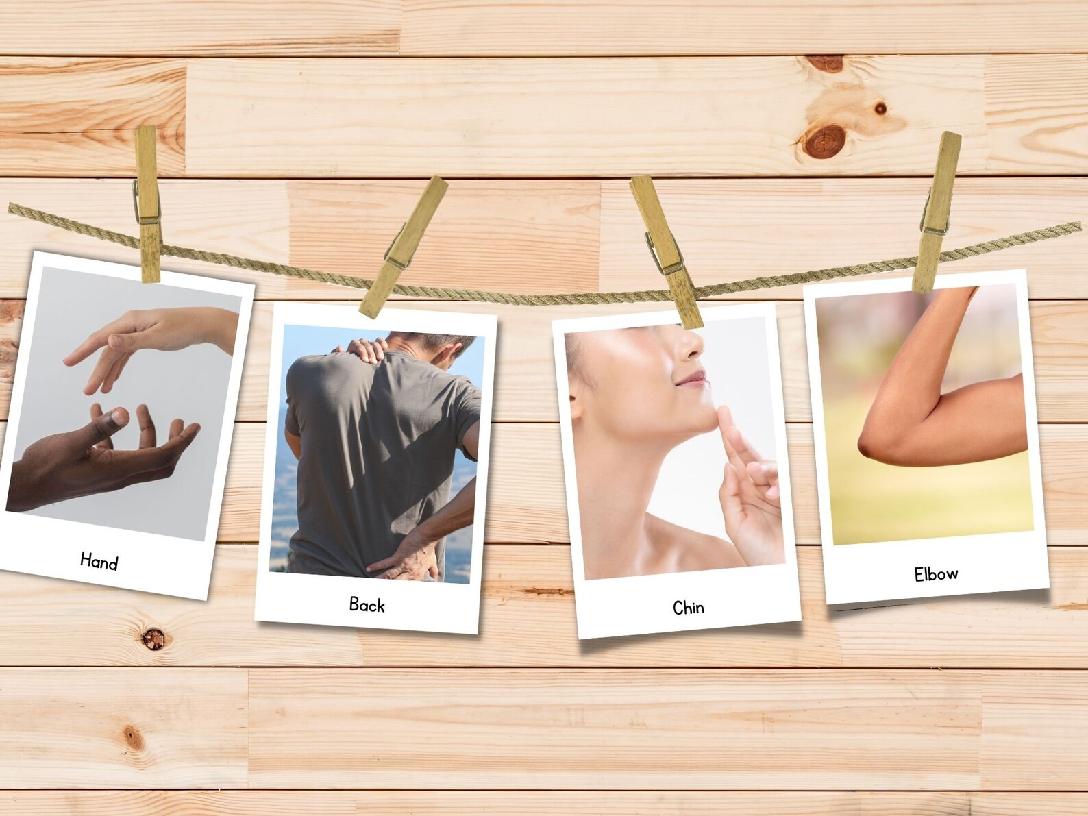 Body Parts With Real Picture, Montessori Flashcards Printable, Toddlers ...