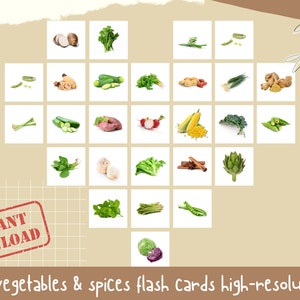 VEGETABLES real Pictures Flashcards Printable Montessori | Etsy