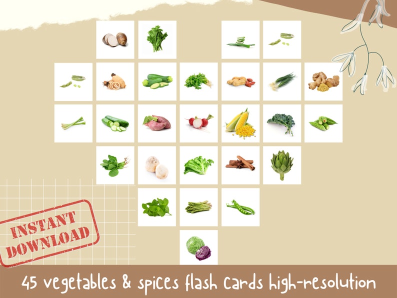 VEGETABLES real Pictures Flashcards Printable Montessori | Etsy