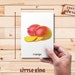 Fruits Flashcard real Picture, Montessori Printable Flashcard, Fruits ...