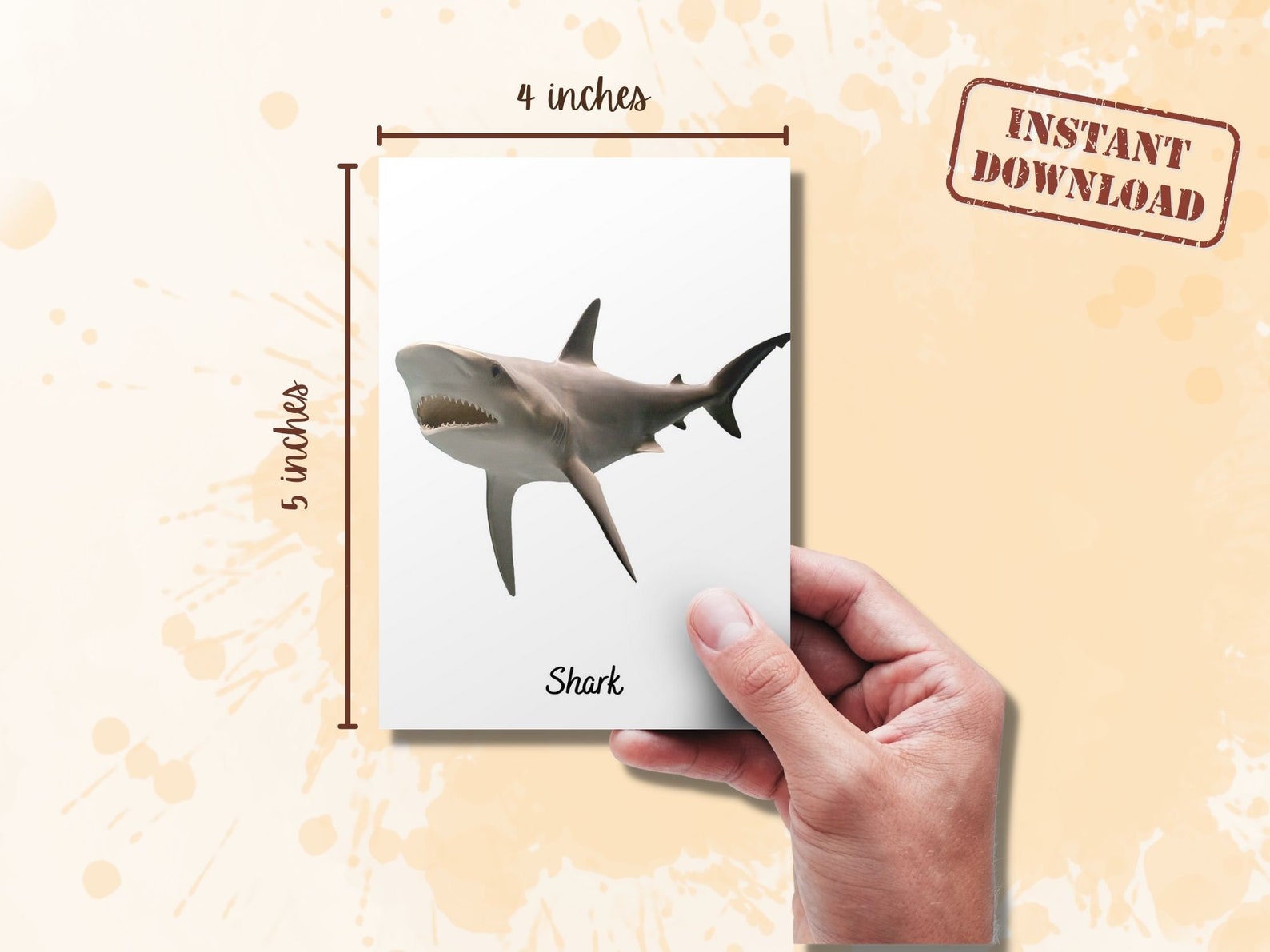 Sea Animals Flashcards, Ocean Animals, Montessori Flashcards Printable ...