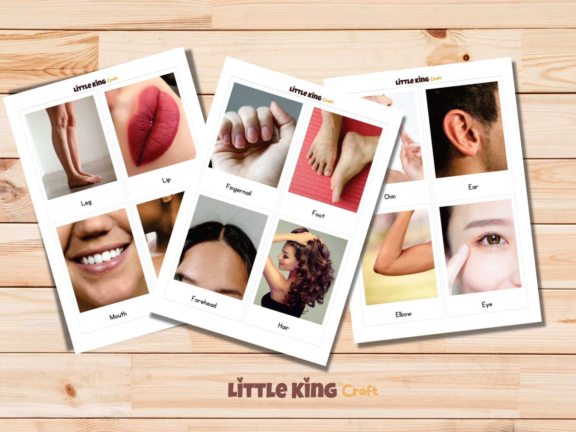 Body Parts With Real Picture, Montessori Flashcards Printable, Toddlers ...