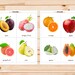 Fruits Flashcard real Picture, Montessori Printable Flashcard, Fruits ...