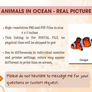 Sea Animals Flashcards, Ocean Animals, Montessori Flashcards Printable ...