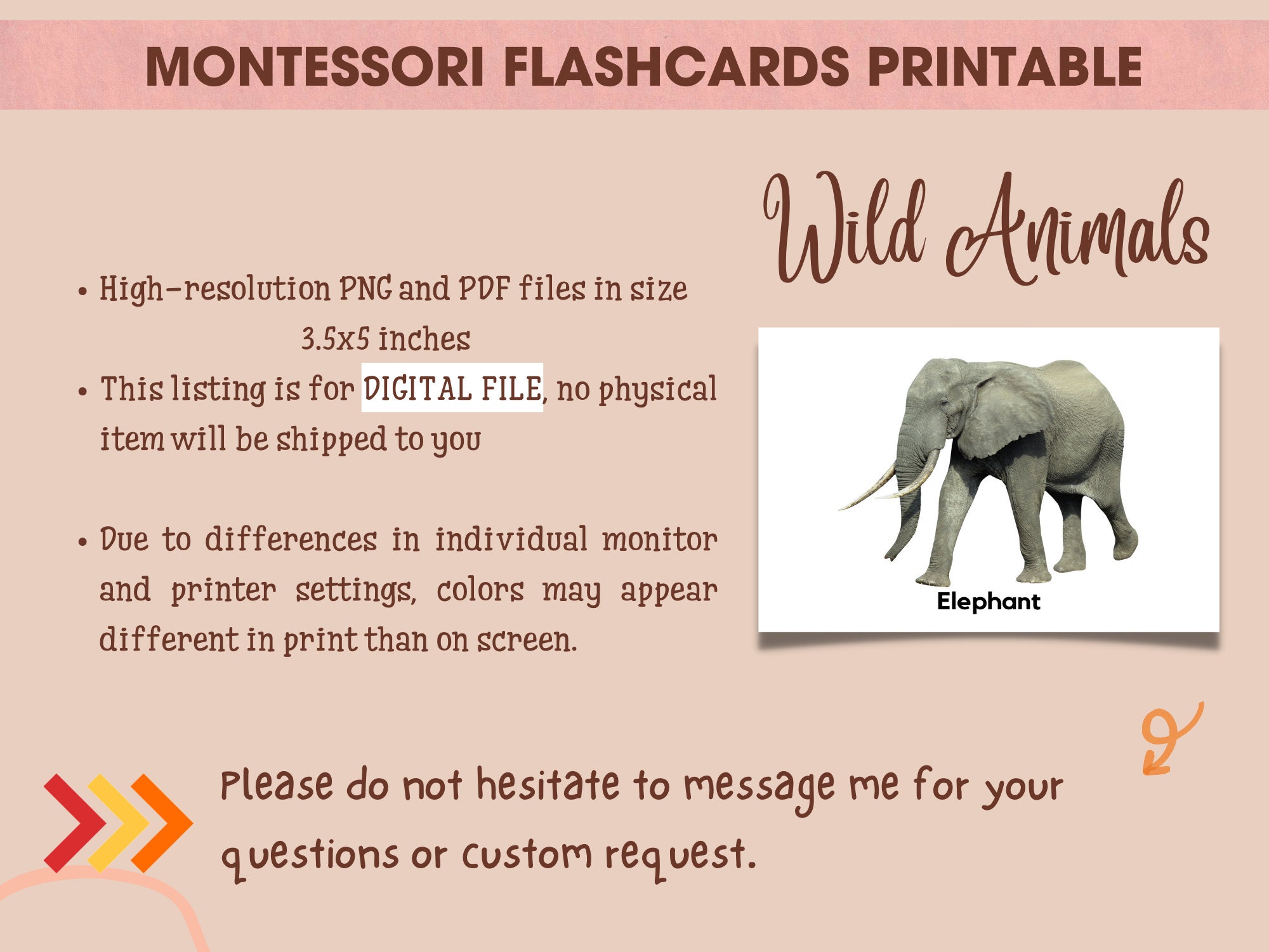 Wild Animal Real Pictures Flashcards, Safari Animals Cards ...