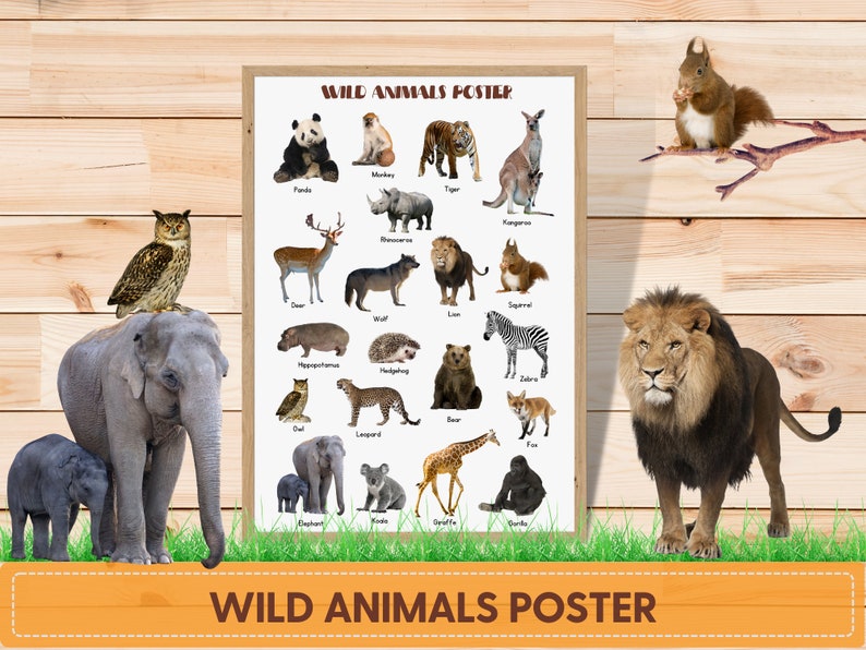 WILD Animals Poster With Real Pictures, Animal Portrait Print ...