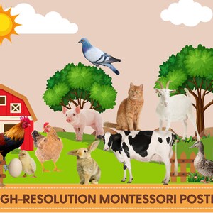 FARM ANIMALS POSTER (real Pictures), Montessori Poster, Poster ...