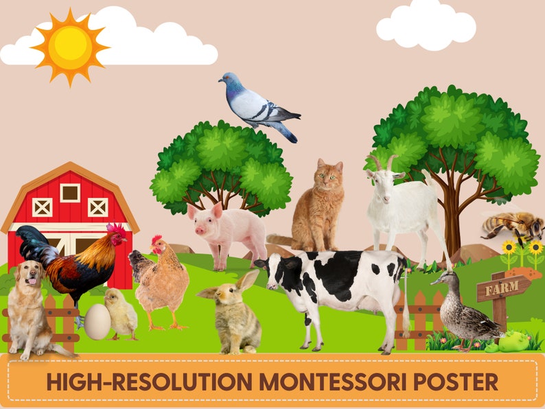 FARM ANIMALS POSTER (real Pictures), Montessori Poster, Poster ...