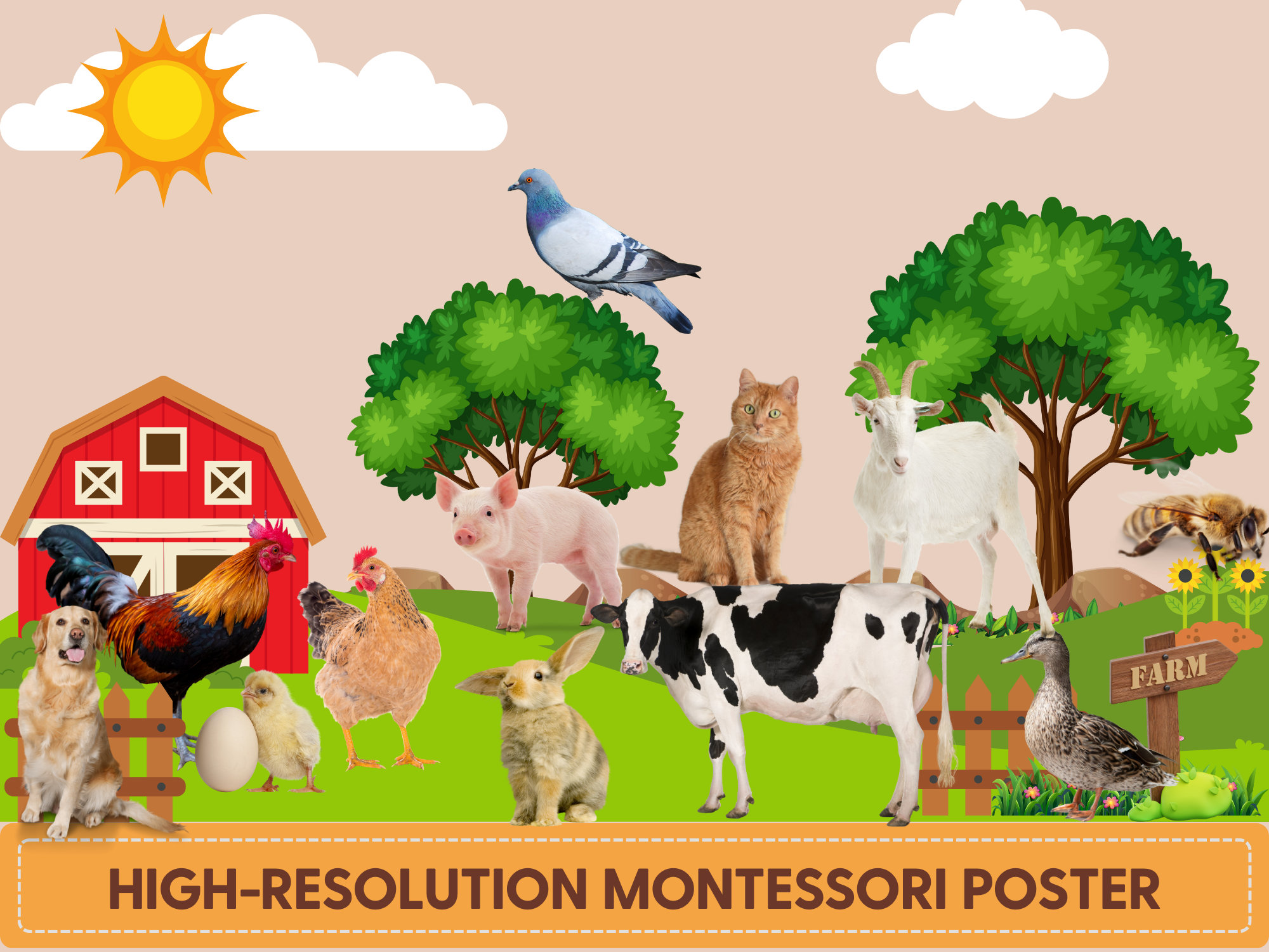 FARM ANIMALS POSTER (real Pictures), Montessori Poster, Poster ...