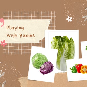 VEGETABLES real Pictures Flashcards Printable Montessori | Etsy
