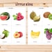 Fruits Flashcard real Picture, Montessori Printable Flashcard, Fruits ...