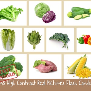 VEGETABLES real Pictures Flashcards Printable Montessori | Etsy