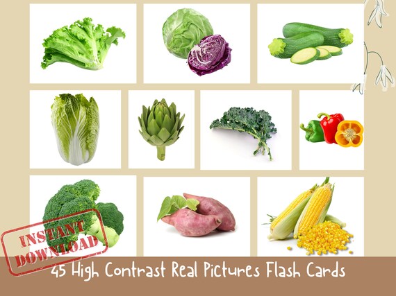 VEGETABLES real Pictures Flashcards Printable Montessori | Etsy