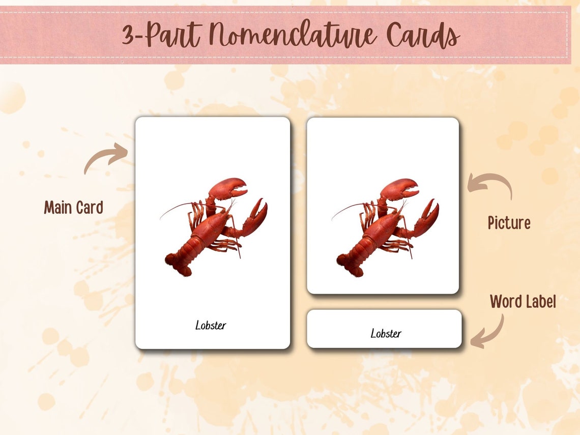 Sea Animals Flashcards, Ocean Animals, Montessori Flashcards Printable ...
