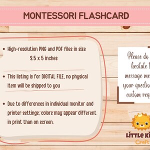 Insects Flashcards With Real Pictures, Bugs Flashcards, Insects 3-part ...