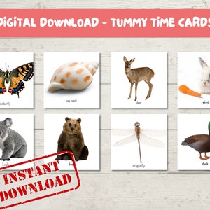 ANIMALS Real Pictures Montessori Flashcards Printable Doman | Etsy