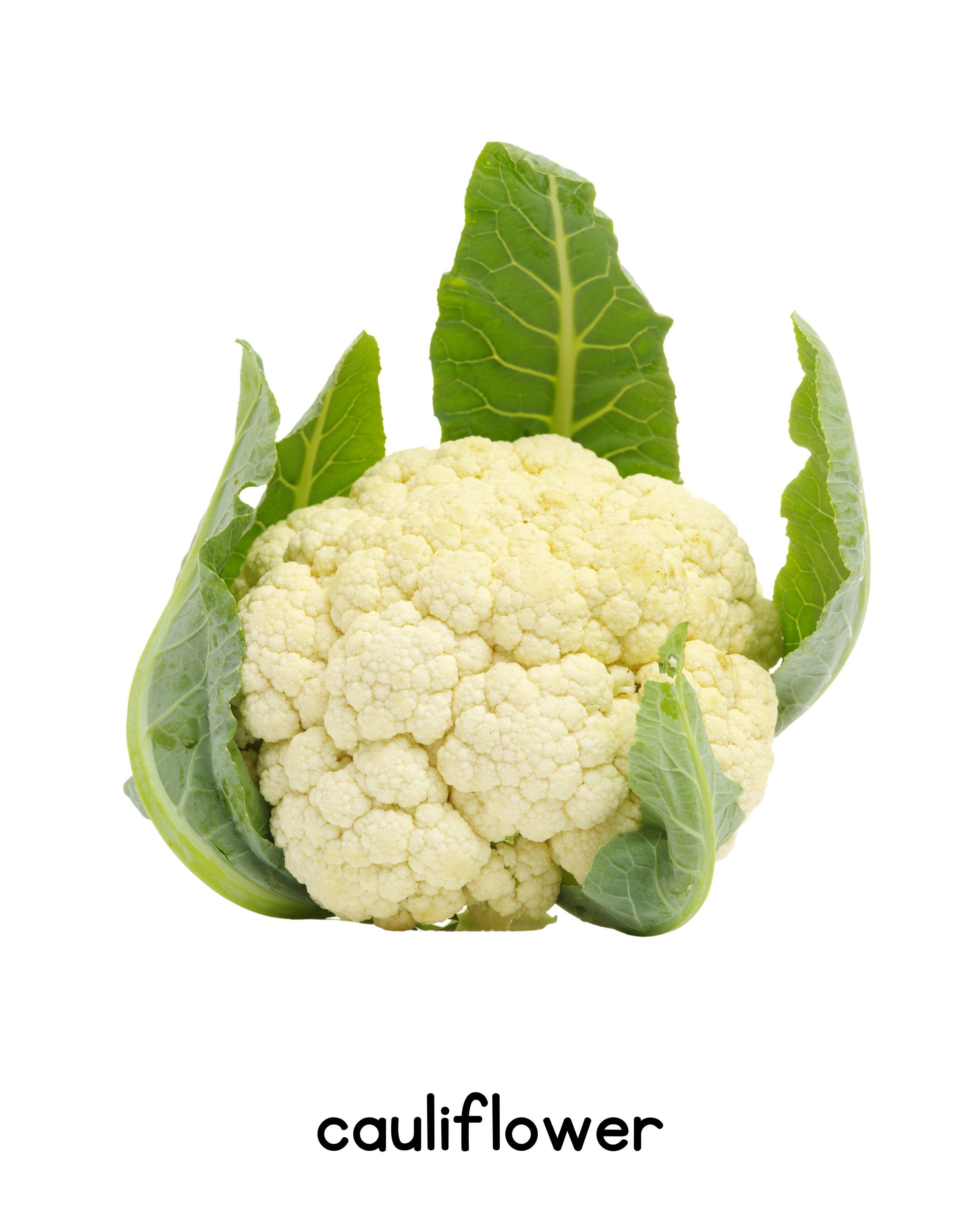 Vegetables Name With Real Pictures, Montessori Vegetables, Learning ...