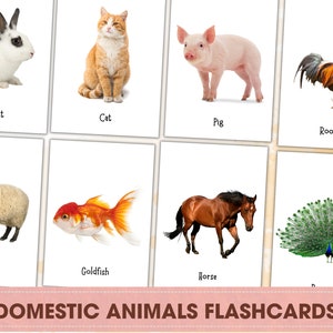 Domestic Animals Flashcards With Real Pictures Montessori - Etsy