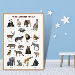 WILD Animals Poster With Real Pictures, Animal Portrait Print ...