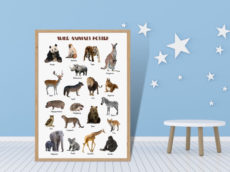 WILD Animals Poster With Real Pictures, Animal Portrait Print ...