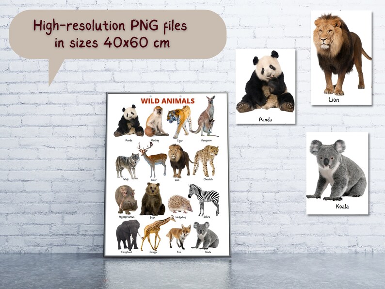 WILD Animals Poster With Real Pictures Animal Portrait Print - Etsy
