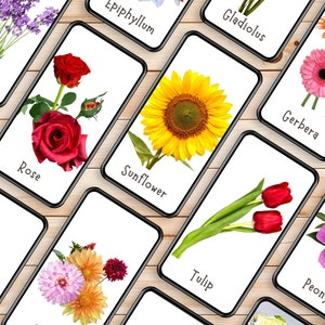 Flowers Flashcards With Real Picture, Types of Flowers Poster, Botany ...
