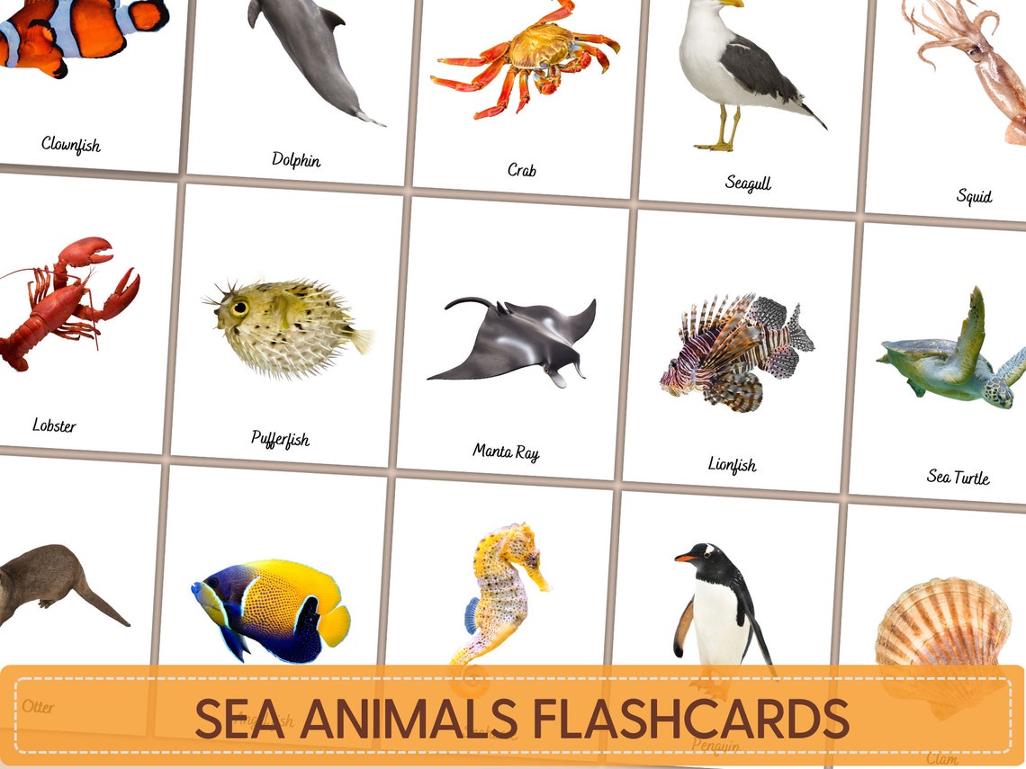 Sea Animals Flashcards, Ocean Animals, Montessori Flashcards Printable ...