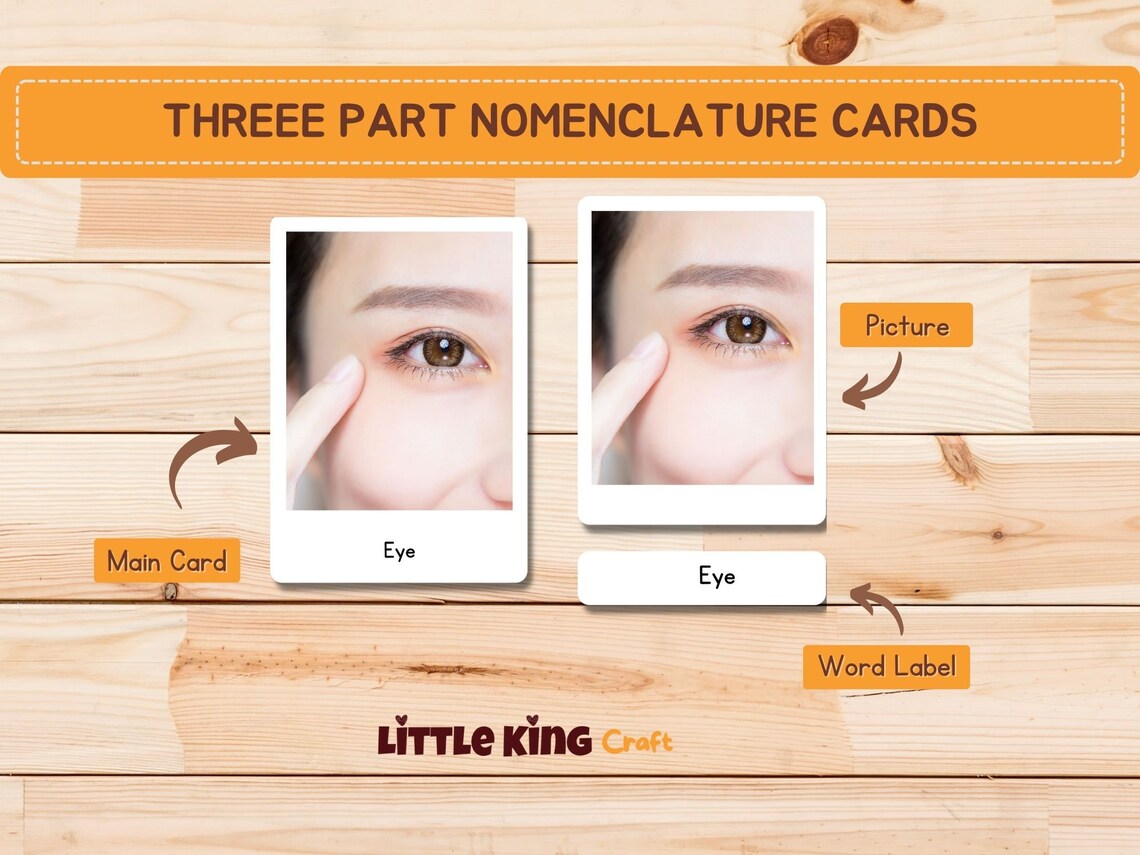 Body Parts With Real Picture, Montessori Flashcards Printable, Toddlers ...