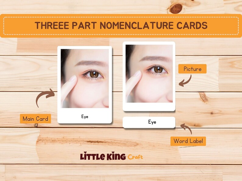 Body Parts With Real Picture, Montessori Flashcards Printable, Toddlers ...