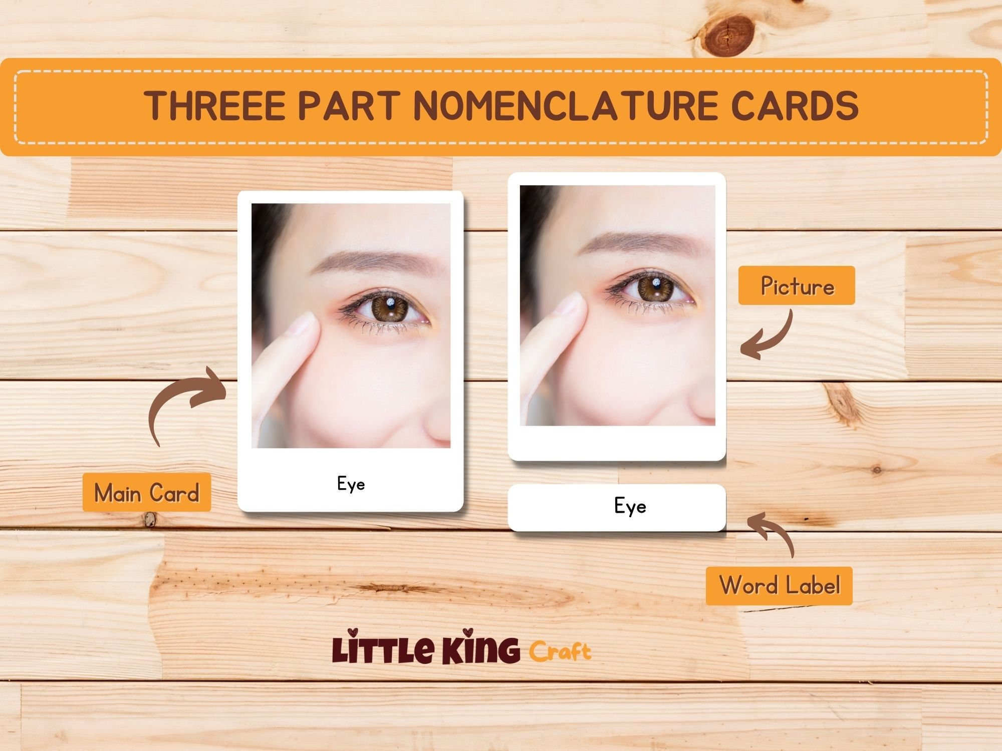 Body Parts With Real Picture, Montessori Flashcards Printable, Toddlers ...