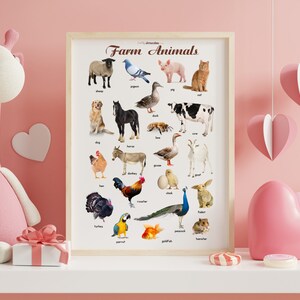 FARM ANIMALS POSTER (real Pictures), Montessori Poster, Poster ...