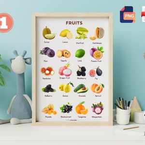 02 Fruits Poster (real Pictures), Montessori Poster Printable ...