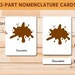 Color Flashcards, Montessori Printable, Toddlers Flacshcards, Color ...