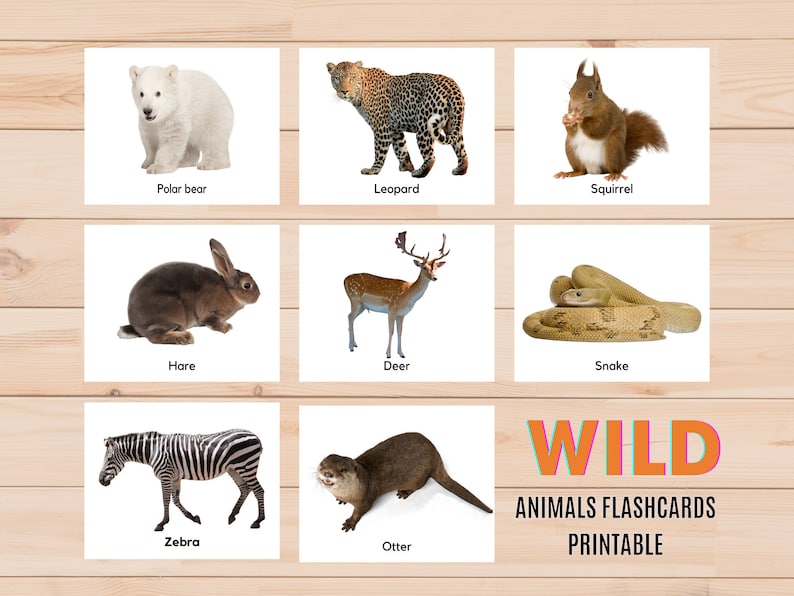 Wild Animal Real Pictures Flashcards, Safari Animals Cards ...
