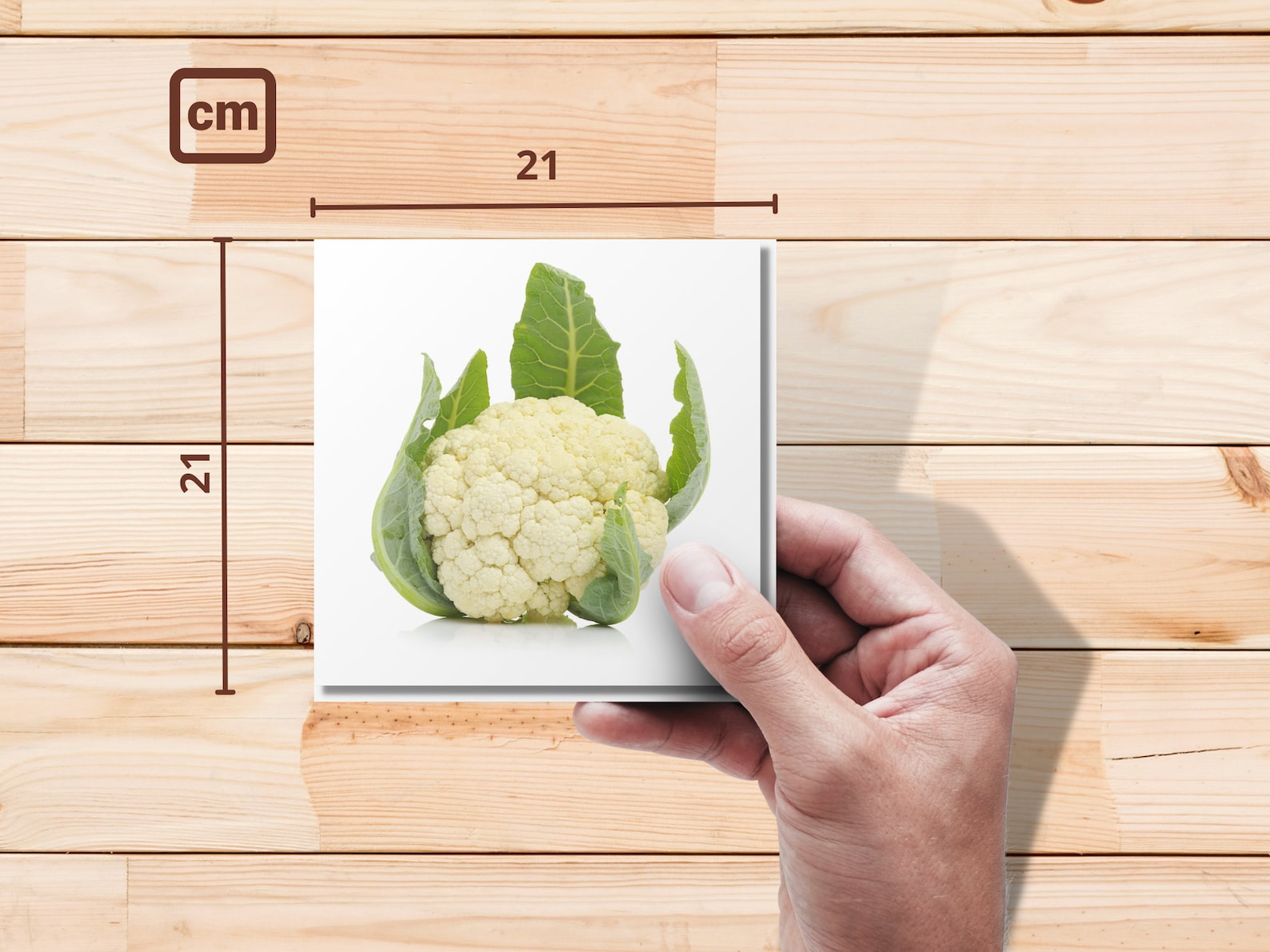 VEGETABLES (real Pictures) Flashcards, Montessori Printable Vegetables ...