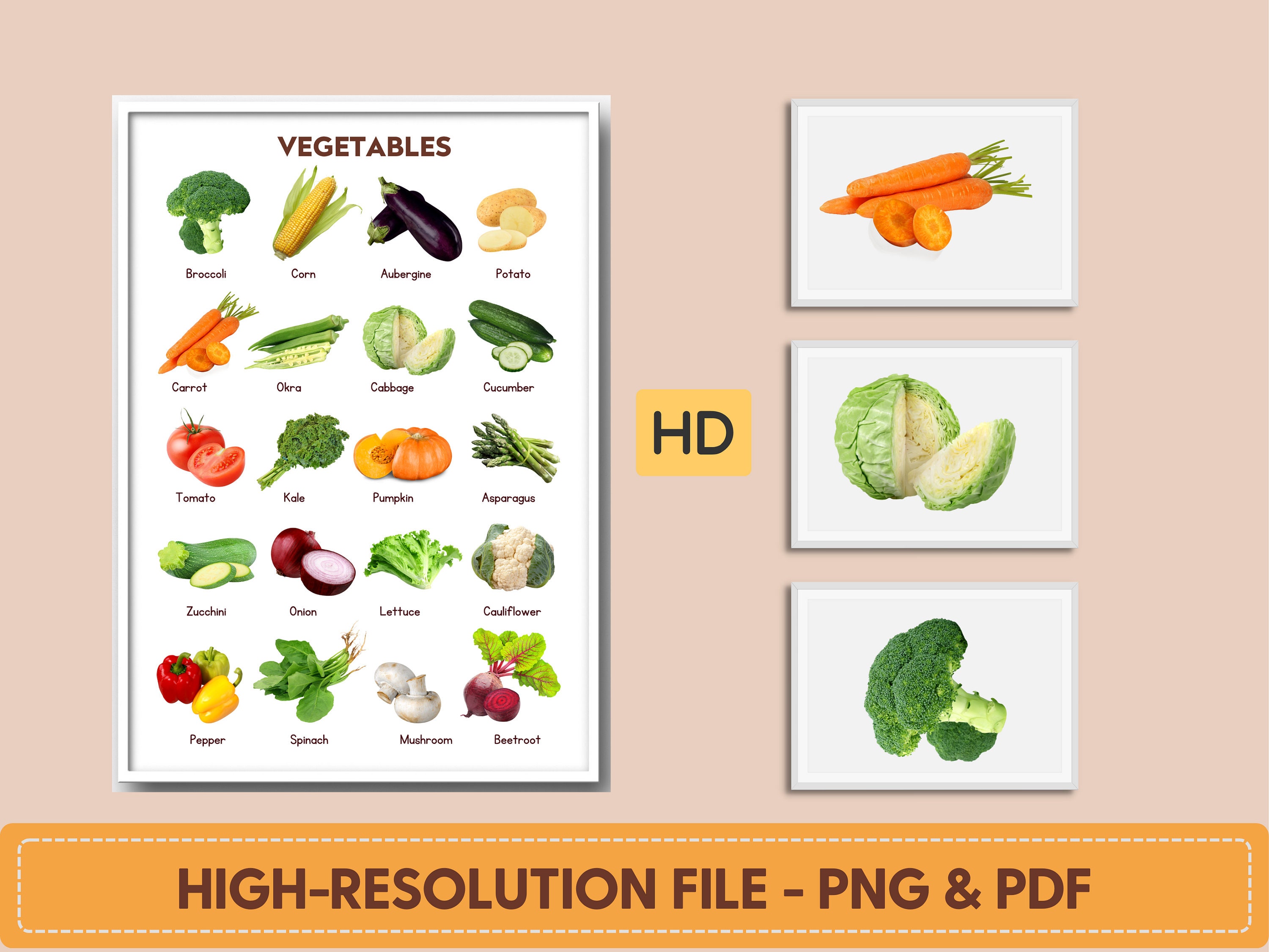 Vegetables Poster (real Pictures), Montessori Poster Printable ...