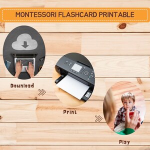 Body Parts With Real Picture, Montessori Flashcards Printable, Toddlers ...
