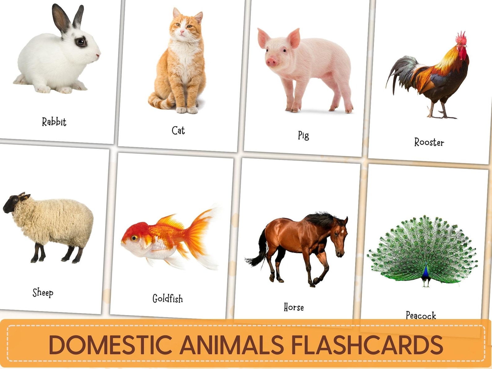 Domestic Animals Flashcards With Real Pictures, Farm Animals Cards ...
